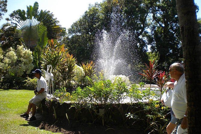 Rosevelt's Special Best of St. Kitts/Panoramic Tour - Real Traveler Perspectives