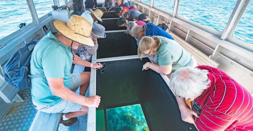 Rosslyn: Great Keppel Island Glass Bottom Boat Tour - A Complete Look at the Tour
