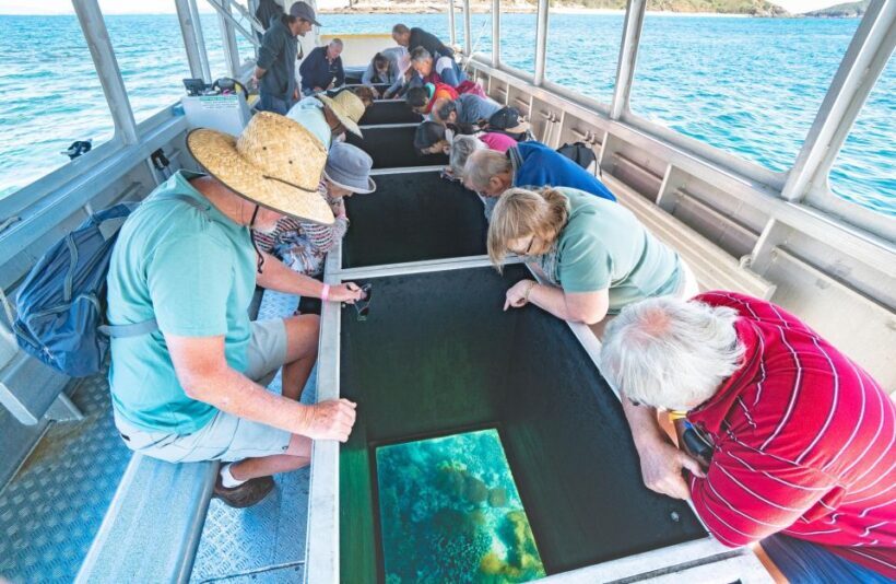 Rosslyn: Great Keppel Island Glass Bottom Boat Tour - Who Will Love This Tour