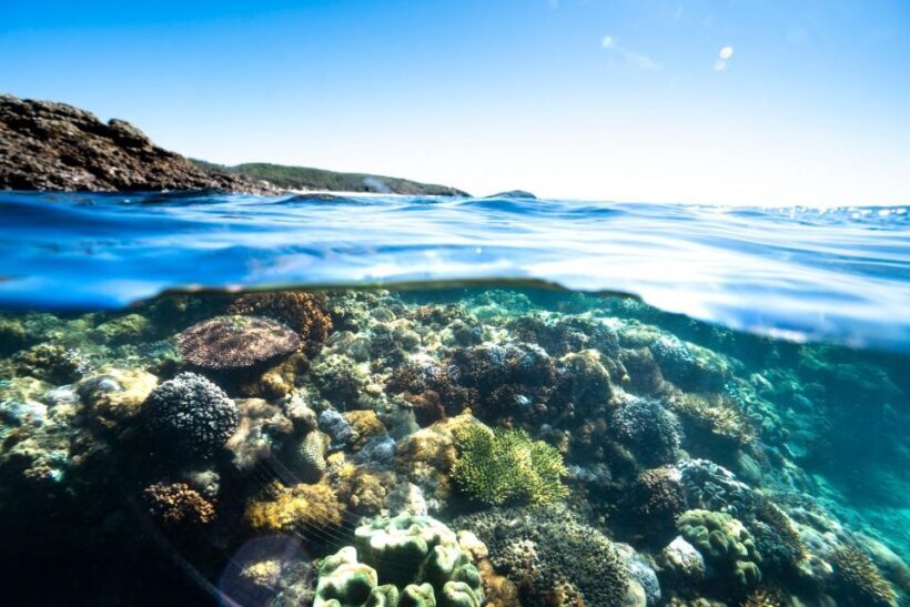 Rosslyn: Great Keppel Island Glass Bottom Boat Tour - FAQs