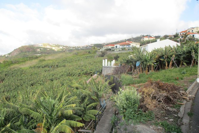 Rota do Açucar - Levada Nova (Half Day Walk) - FAQs