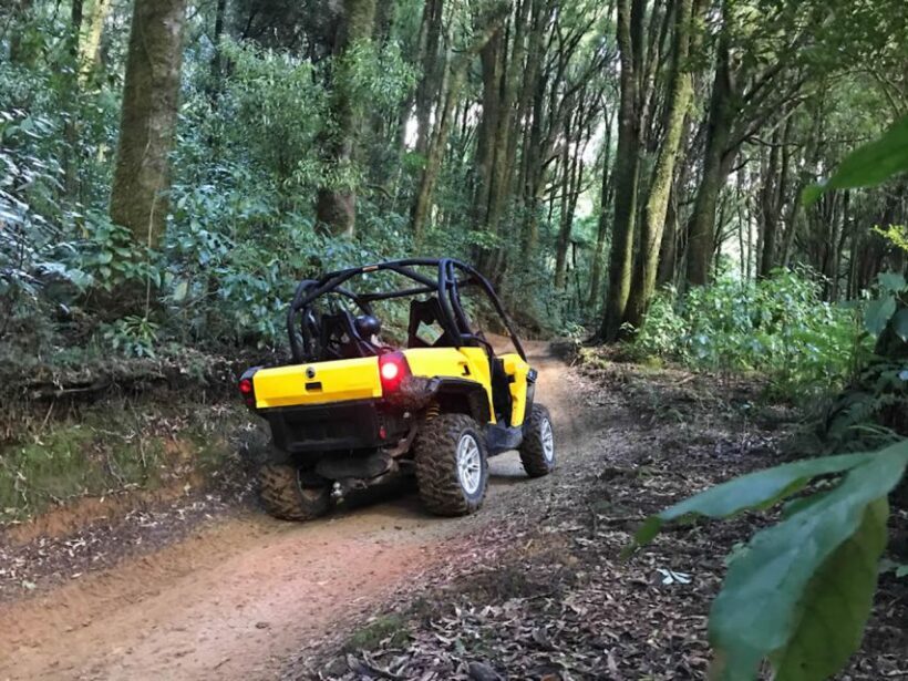 Rotorua: 4×4 Self-Drive Buggy Tour Through Farm and Bushland - Who Should Consider This Tour?