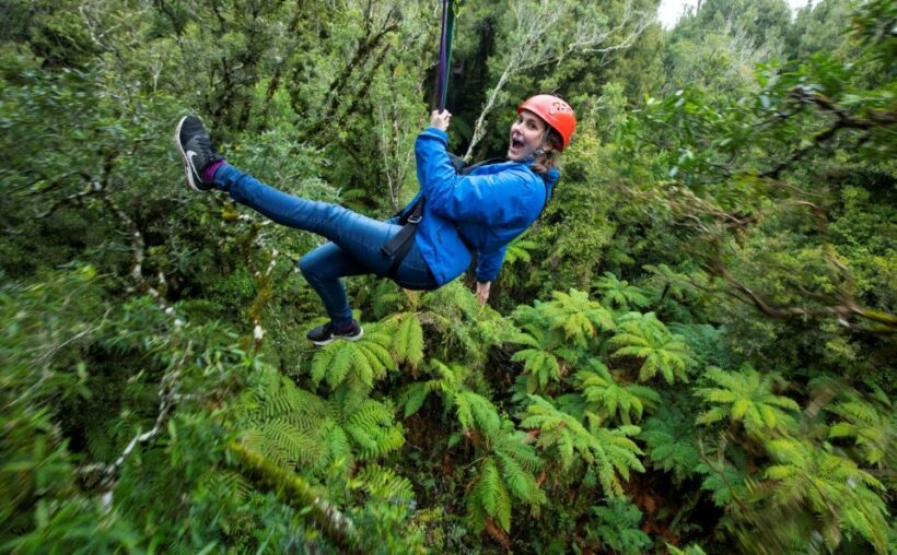 Rotorua: 6 Ziplines, Swing-Bridges & Wildlife Encounters - Key Points