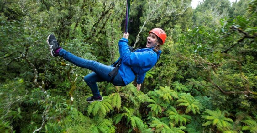 Rotorua: 6 Ziplines, Swing-Bridges & Wildlife Encounters - What Makes This Ziplines and Wildlife Tour Stand Out?
