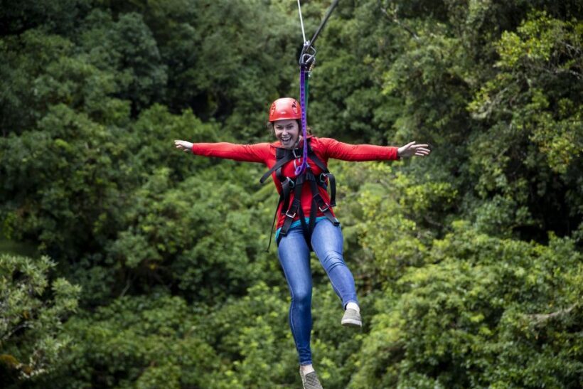 Rotorua: 6 Ziplines, Swing-Bridges & Wildlife Encounters - The Sum Up: Who Should Consider This Tour?