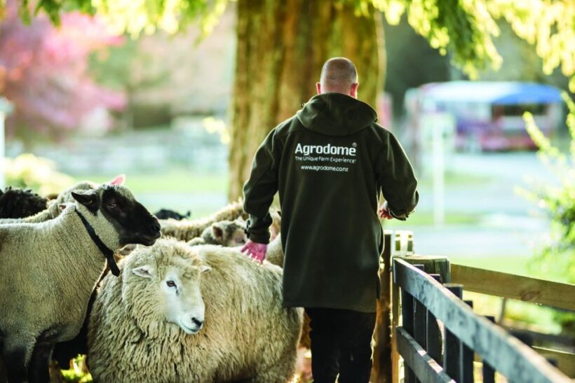 Rotorua: Authentic Kiwi Farm Experience at the Agrodome - Key Points