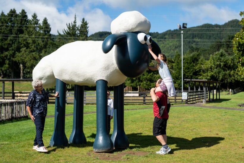 Rotorua: Authentic Kiwi Farm Experience at the Agrodome - What Makes the Agrodome Experience Stand Out?