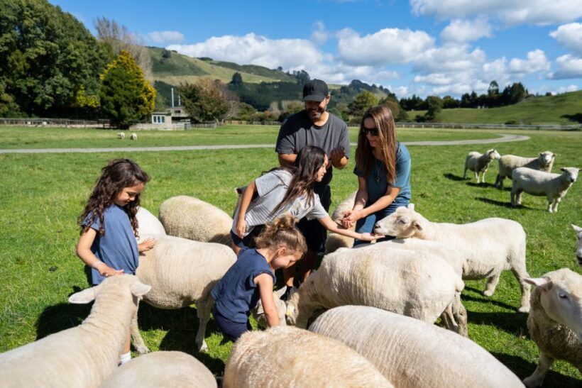 Rotorua: Authentic Kiwi Farm Experience at the Agrodome - Who Should Consider This Tour?