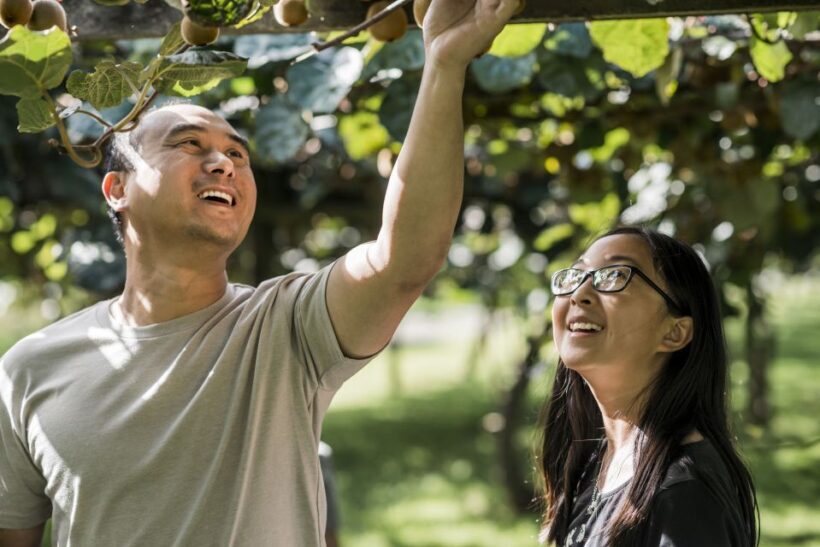 Rotorua: Authentic Kiwi Farm Experience at the Agrodome - The Sum Up