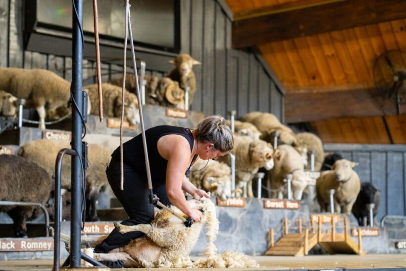 Rotorua: Authentic Kiwi Farm Experience at the Agrodome - FAQ