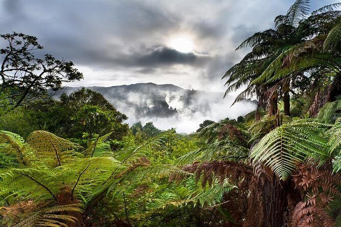 Rotorua based Small Group Morning Tour Waimangu and Wai O Tapu - A Detailed Look at the Tour Itinerary