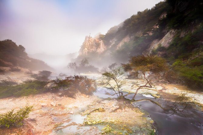 Rotorua based Small Group Morning Tour Waimangu and Wai O Tapu - What Travelers Love Most