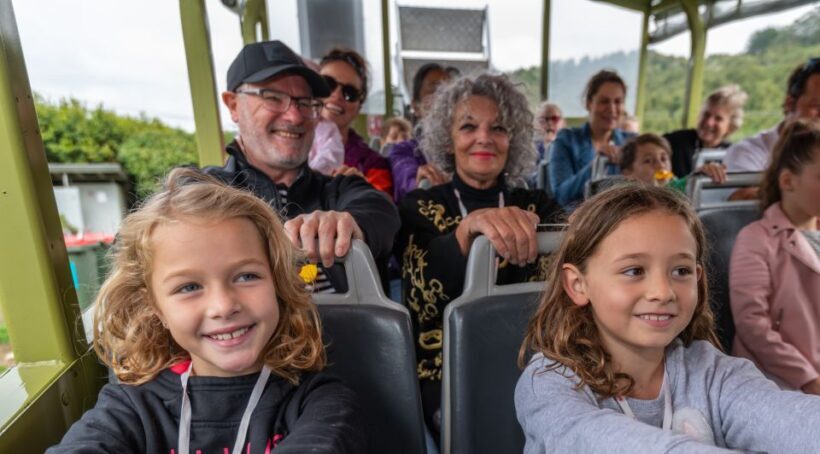 Rotorua City and Lakes Duck Tour - An Overview of the Rotorua Lakes and City Experience