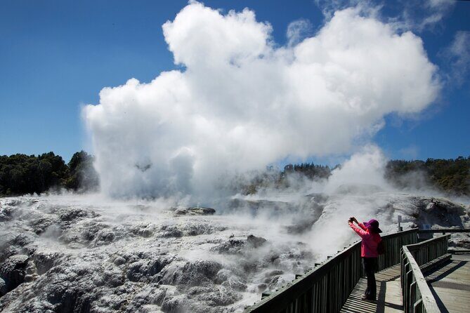 Rotorua Day Trip Maori Culture, SecretSpot, Redwood Forest - What Makes This Tour Stand Out?