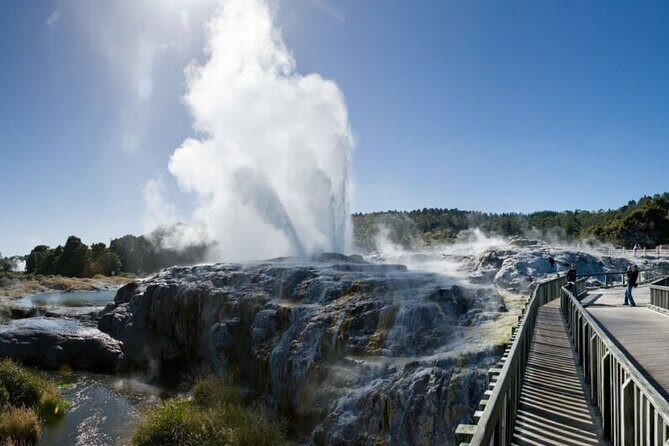 Rotorua Day Trip Maori Culture, SecretSpot, Redwood Forest - The Sum Up