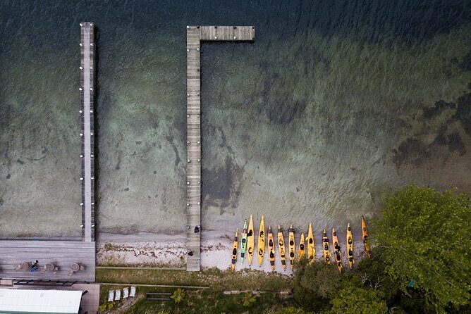 Rotorua: Daytime Scenic Lake Rotoiti Kayak Tour - The Sum Up: Who Will Love This Tour?