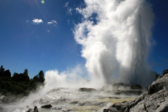 Rotorua Discovery Te Puia Tour - An Authentic Day from Tauranga to Rotorua