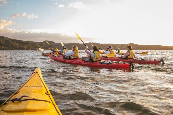 Rotorua: Evening Starlight Gourmet Kayak Tour Glowworms - Rotorua: Evening Starlight Gourmet Kayak Tour Glowworms – A Deep Dive