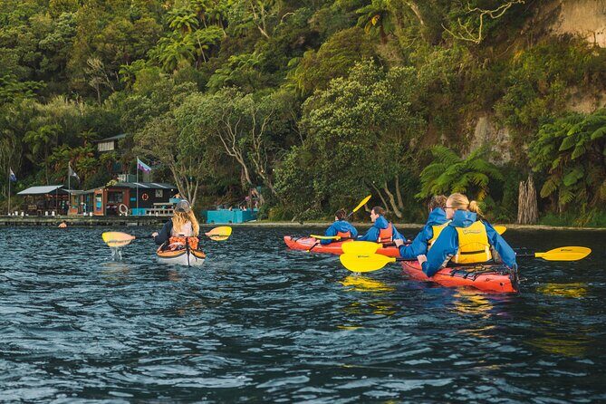 Rotorua: Evening Starlight Gourmet Kayak Tour Glowworms - Key Points