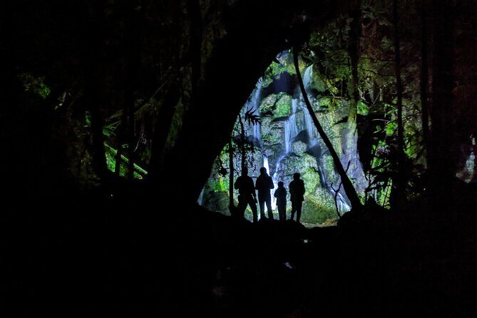 Rotorua: Evening Starlight Gourmet Kayak Tour Glowworms - Final Thoughts