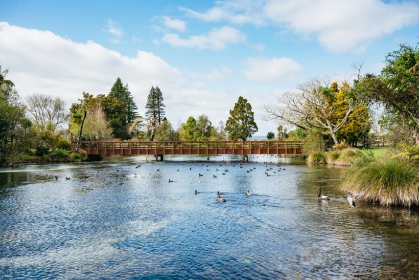 Rotorua: Explore The Lakes Half-Day Morning Tour - Exploring Rotorua’s Lakes: A Practical Review of the Half-Day Morning Tour