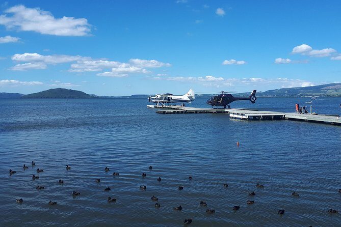 Rotorua Full Day Private Tour from Auckland - Who Should Consider This Tour?