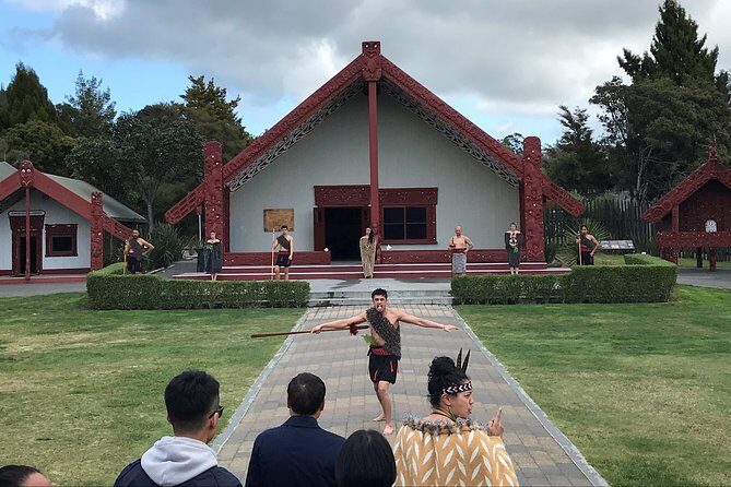 Rotorua Geothermal Wonderland Tour  Departs Tauranga - A Detailed Look at the Rotorua Geothermal Wonderland Tour