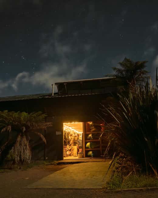 Rotorua: Glow Worm Kayak Tour - An Introduction to the Rotorua Glow Worm Kayak Tour