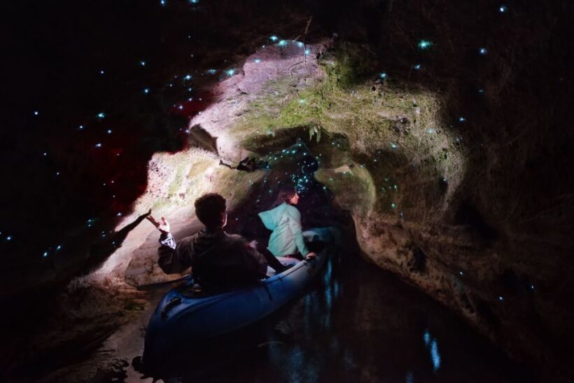 Rotorua: Glow Worm Kayak Tour - What the Reviews Say