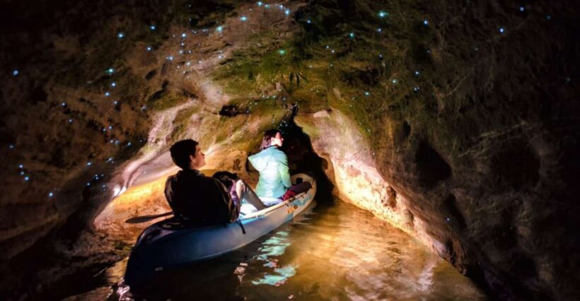 Rotorua: Glow Worm Kayak Tour - The Sum Up