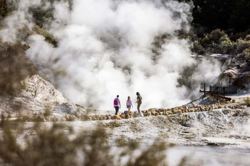 Rotorua: Hell's Gate Geothermal Walk - Reviews and Genuine Perspectives