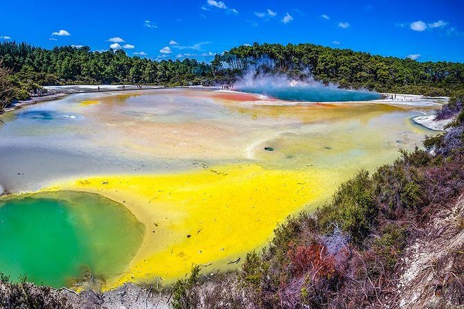 Rotorua Highlights Tour from Auckland with Optional Extras - An In-Depth Look at the Itinerary and Experience