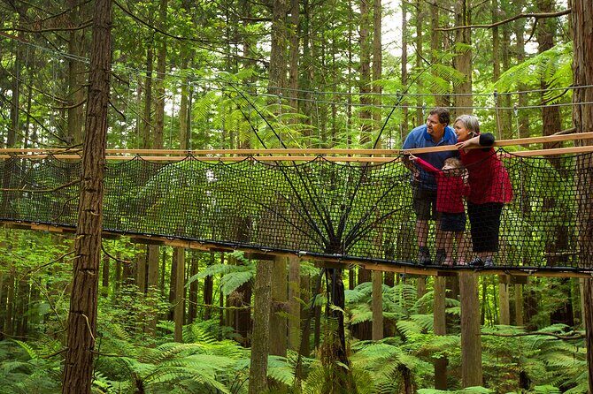 Rotorua Highlights Tour from Auckland with Optional Extras - Who Will Love This Tour?