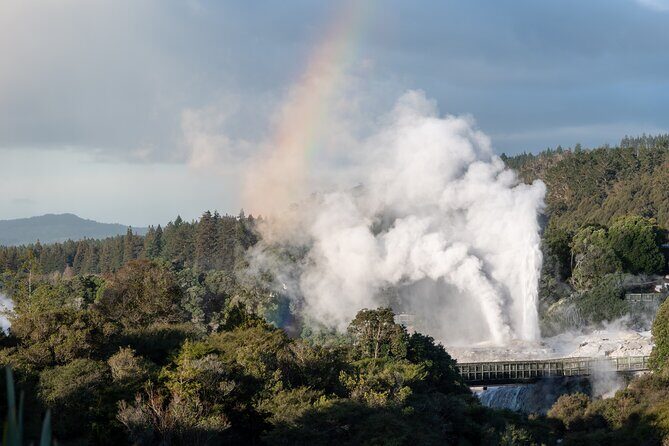 Rotorua Highlights Tour inc. Te Puia Tour, Lunch & Cultural Show - The Value of This Rotorua Tour