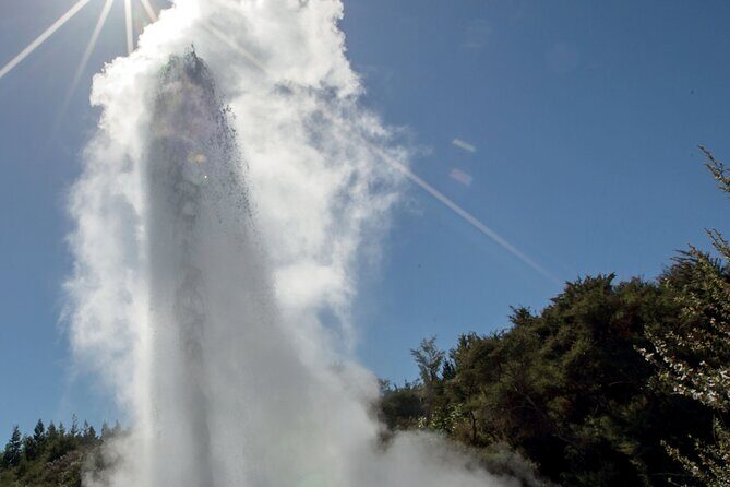 Rotorua Mori Village and Activity Combinations from Auckland - A Comprehensive Look at the Rotorua Mori Village and Activity Tour