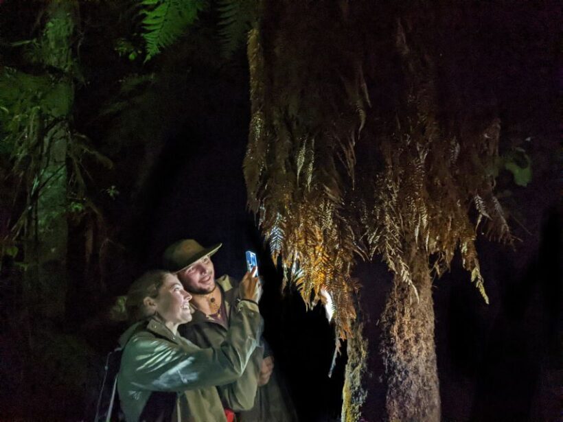 Rotorua: Nocturnal Glow-Worm Adventure Tour with a Guide - How the Itinerary Unfolds