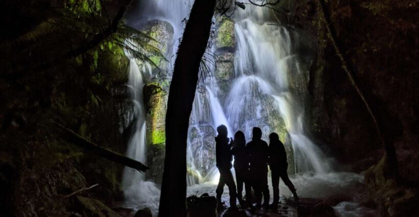 Rotorua: Nocturnal Glow-Worm Adventure Tour with a Guide - Transportation & Group Size