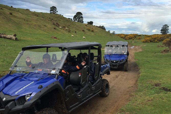 Rotorua Off-Road 4WD Buggy Adventure - The Experience in Detail