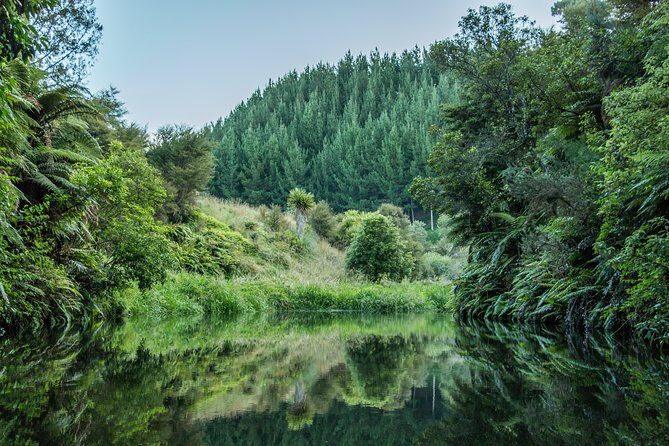 Rotorua Off-Road 4WD Buggy Adventure - The Sum Up