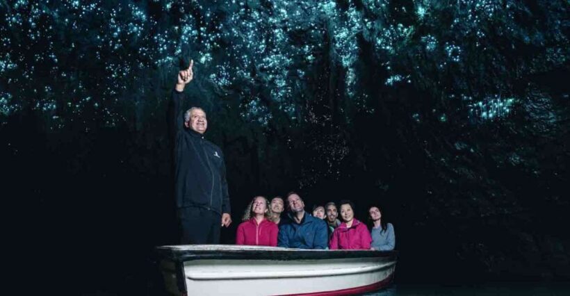 Rotorua: One-Way Trip to Auckland via Hobbiton & Waitomo - Who Should Consider This Tour?