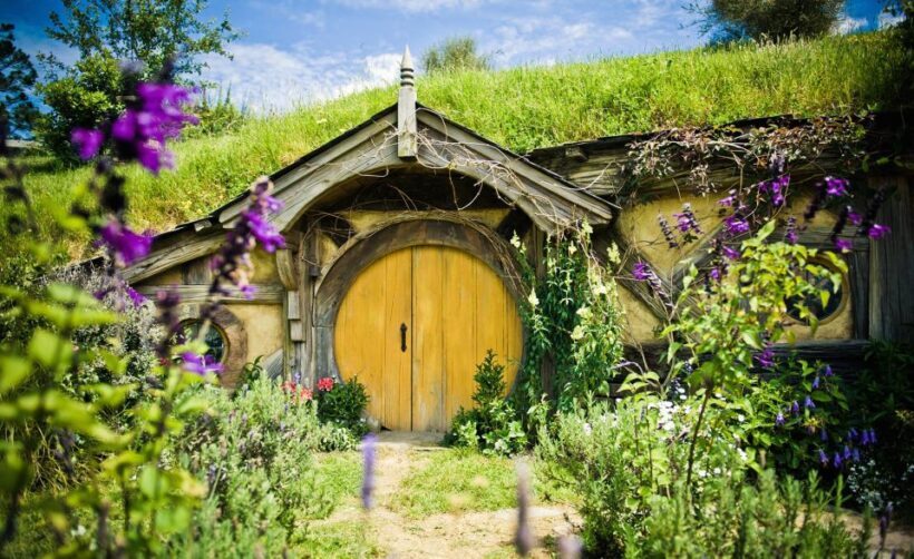 Rotorua: One-Way Trip to Auckland via Hobbiton & Waitomo - Final Thoughts
