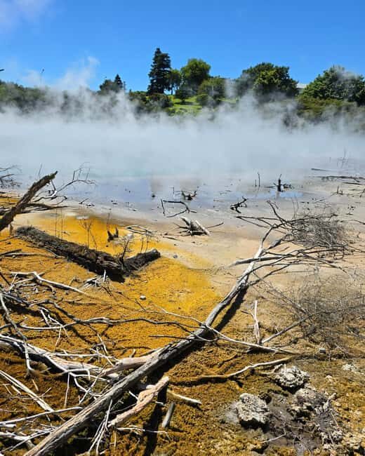 Rotorua: Private Day Tour with Tesla Model Y - A Deep Dive Into What to Expect