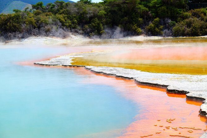Rotorua Private Tour from Tauranga (up to 15 people) - Who Should Consider This Tour?