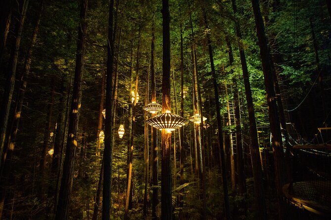 Rotorua: Redwoods Adventure 3-Hours - An In-Depth Look at the Rotorua Redwoods Adventure
