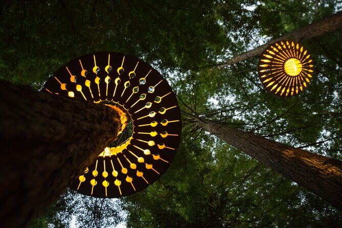 Rotorua: Redwoods Adventure 3-Hours - Practical Tips and Considerations