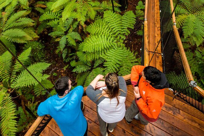 Rotorua: Redwoods Adventure 3-Hours - Who Will Love This Tour?