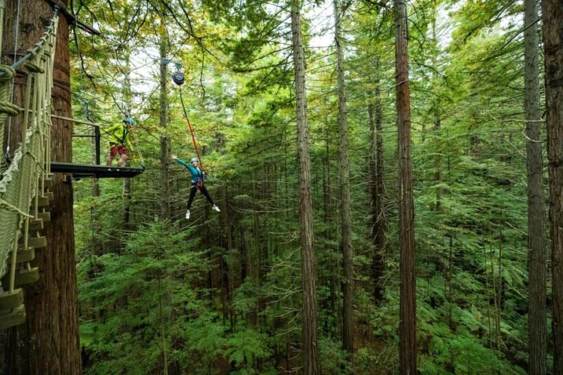 Rotorua: Redwoods Altitude High Ropes Adventure - A Detailed Look at the Rotorua Redwoods Altitude High Ropes