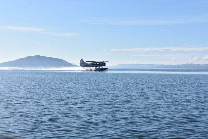 Rotorua: Scenic Flight over Mt Tarawera & Waimangu Valley - An In-Depth Look at the Itinerary