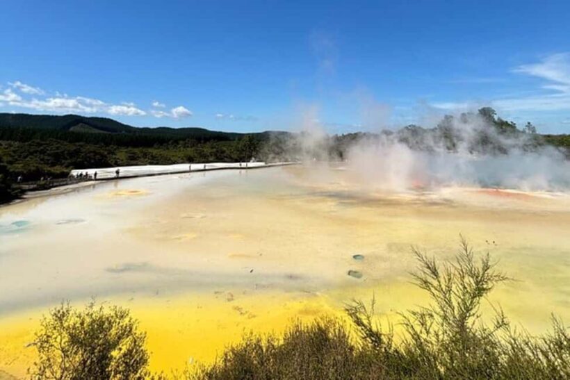 Rotorua & Taupo DayTour Waiotapu & Huka Falls from Auckland - Key Points