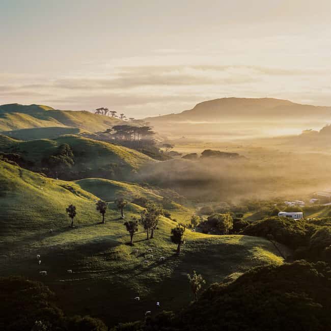Rotorua & Taupo:Wai-O-Tapu, Redwood Walk & Hukka falls Tour - A Private Tour with a Personal Touch